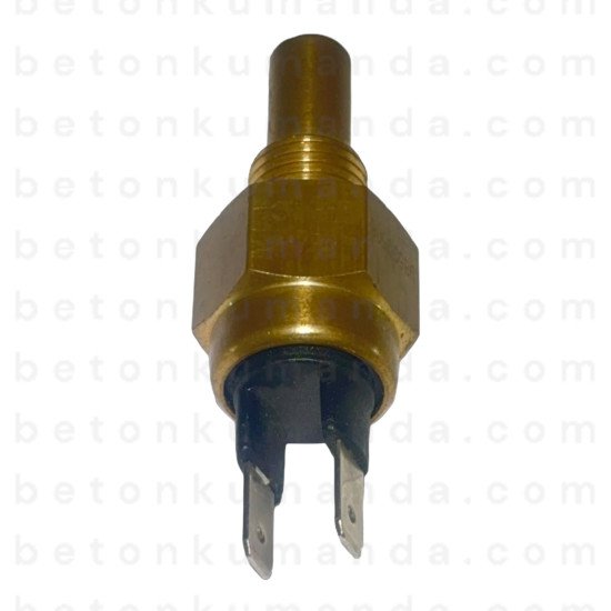 55 Degrees 50.312 Long Temperature Sensor